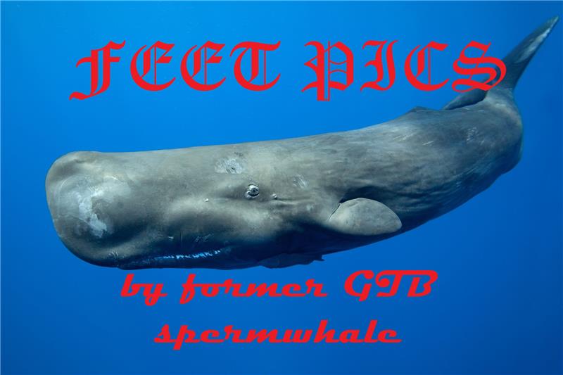 Lil Spermwhale - The goon pack (EP) - Reviews - Album of The Year
