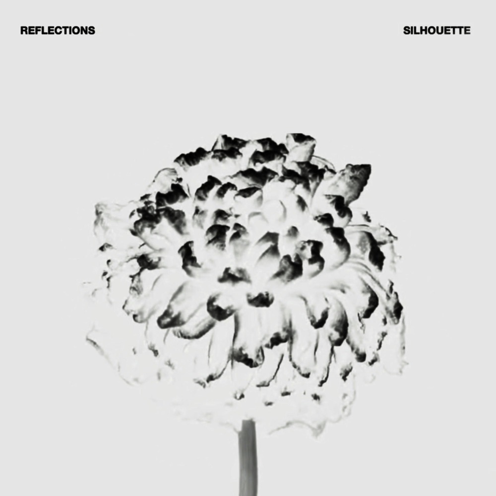 Reflections - Silhouette (Instrumental) - Reviews - Album of The Year