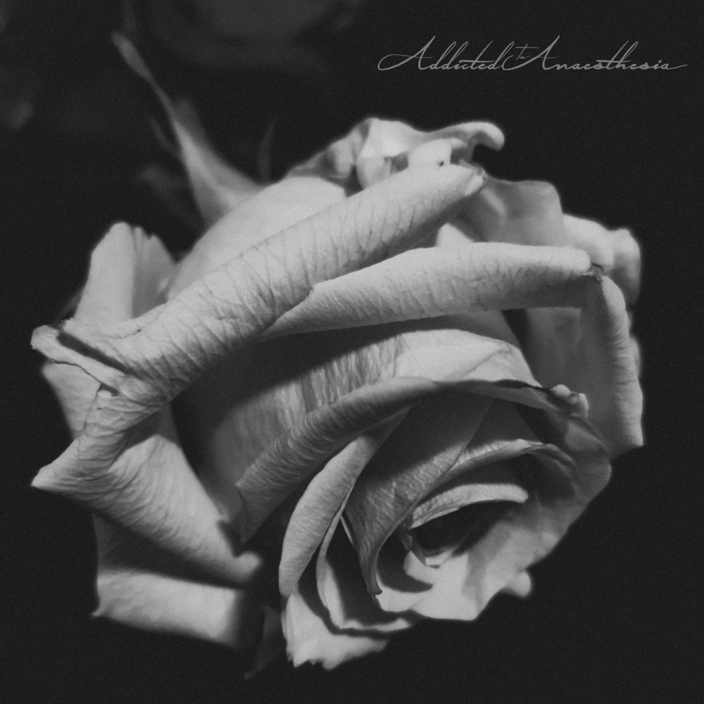 Addicted To Anaesthesia - ATA - Reviews - Album of The Year