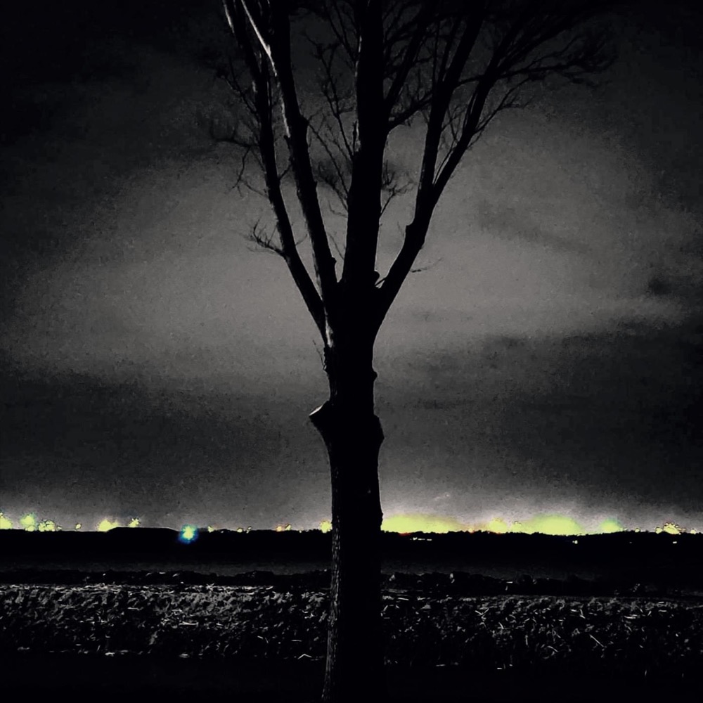 The Wounded - The Sky Is Ours - Reviews - Album of The Year
