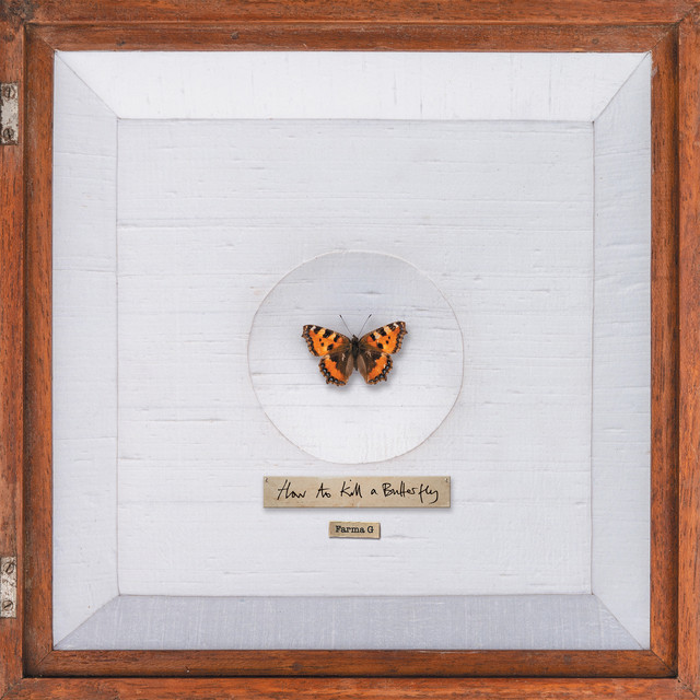 Farma G - How To Kill A Butterfly review by MK47 - Album of The Year