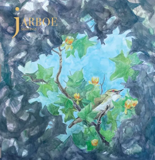 Jarboe - Sightings - Reviews - Album of The Year