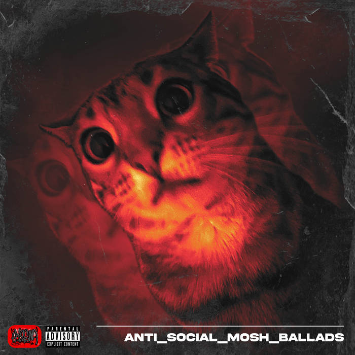 HYEENA - Anti_Social_Mosh_Ballads - Reviews - Album of The Year