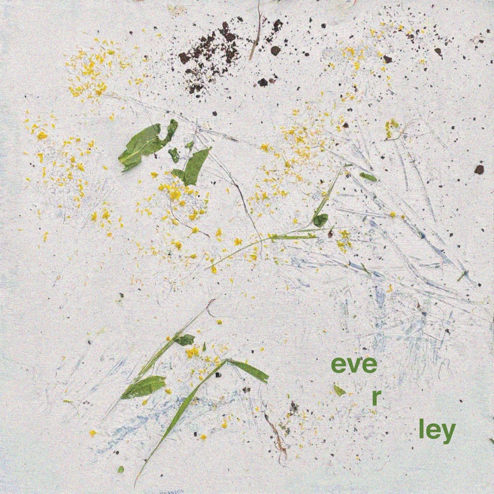 Hurtado - everley - Reviews - Album of The Year