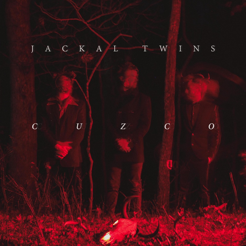 Jackal Twins - Cuzco - Reviews - Album of The Year