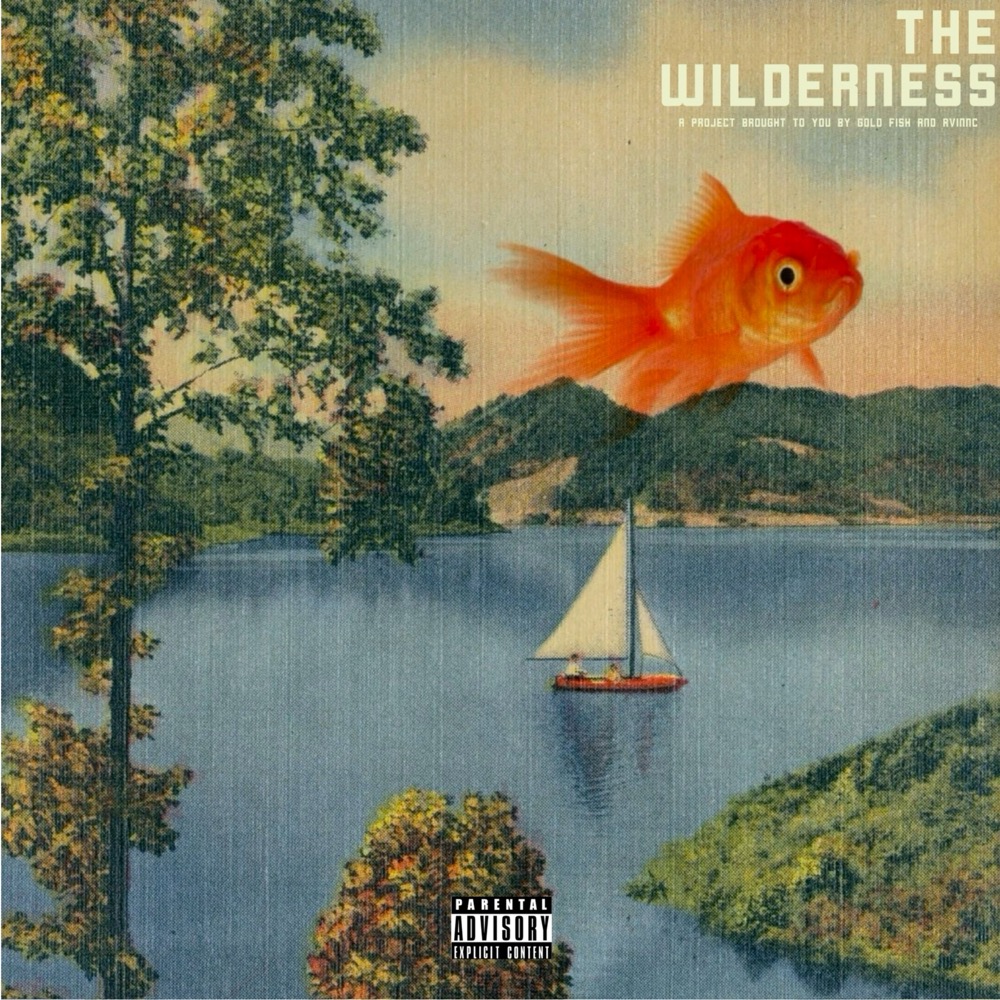 GOLD FISH - THE WILDERNESS - Reviews - Album of The Year