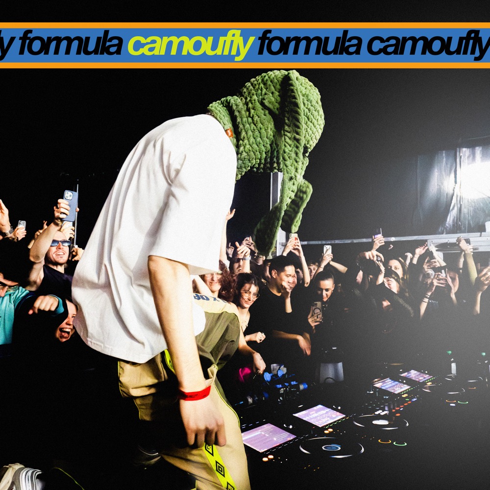 camoufly - formula - Reviews - Album of The Year
