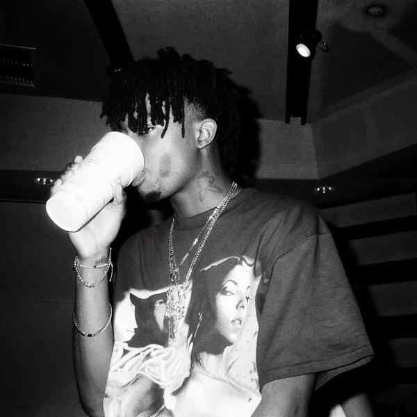 Playboi Carti - Red Lean (Single) - Reviews - Album of The Year