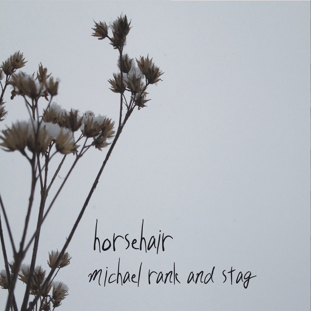Michael Rank - Horsehair - Reviews - Album of The Year