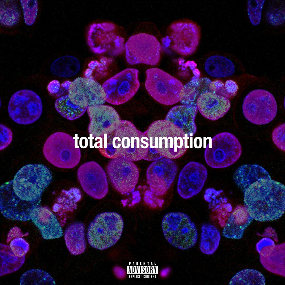 1of1Soldier - Total Consumption - Reviews - Album of The Year