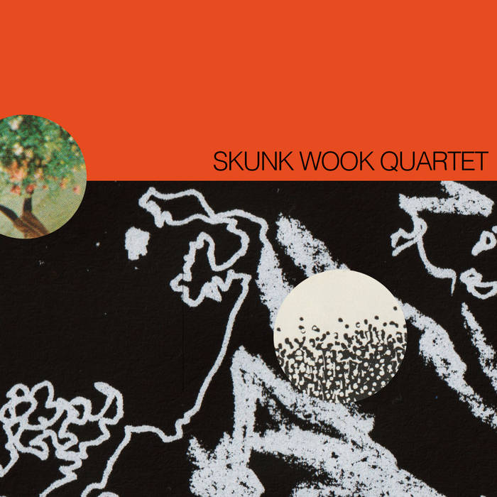 Skunk Wook Quartet - Skunk Wook Quartet - Reviews - Album of The Year