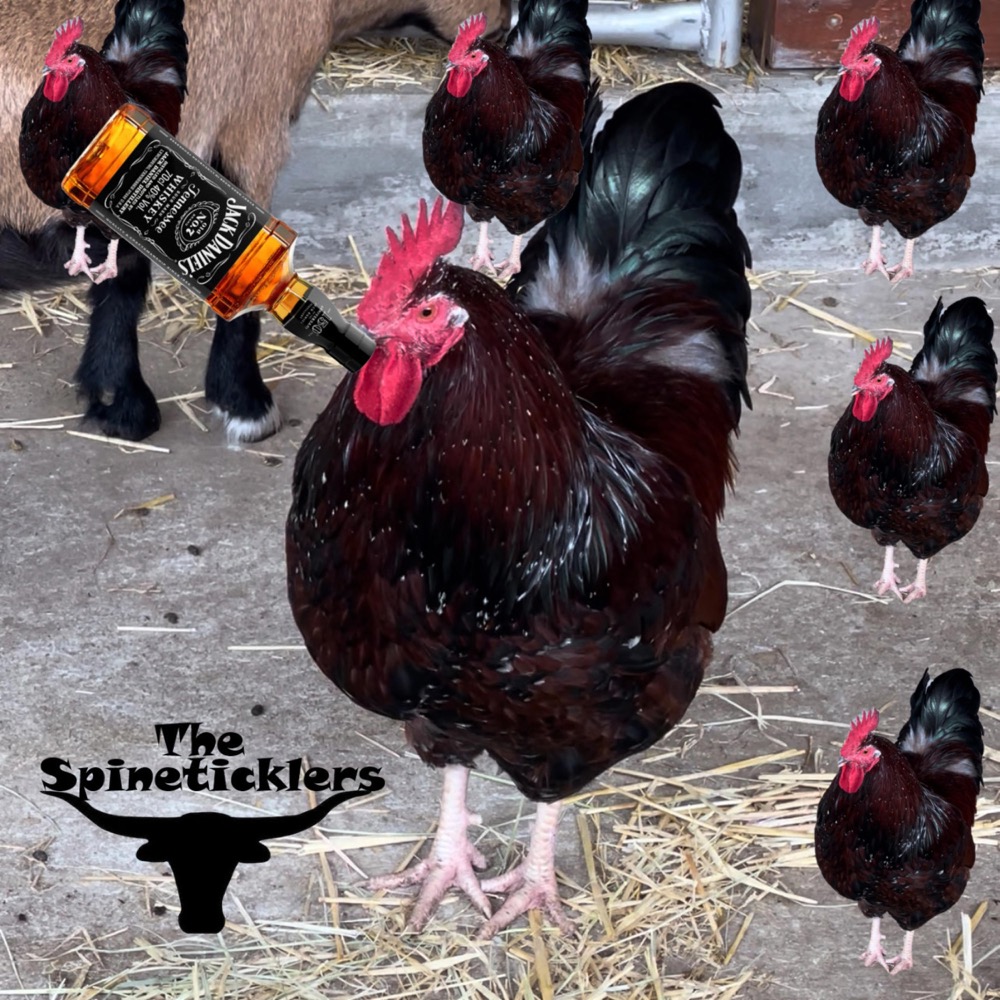 The Spineticklers - The 'Cluckin Chicken (EP) - Reviews - Album of The Year