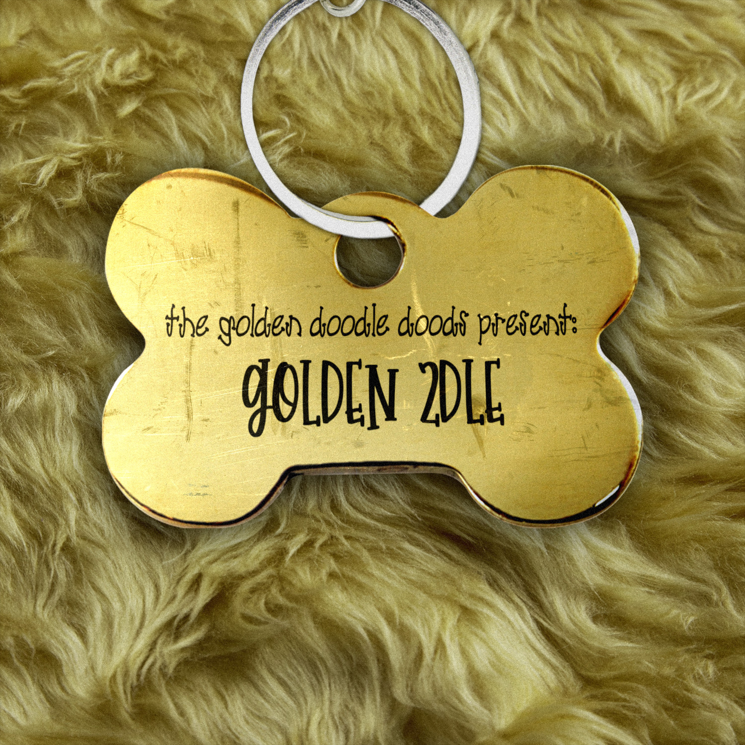 The Golden Doodle Doods - Golden 2dle - Reviews - Album of The Year