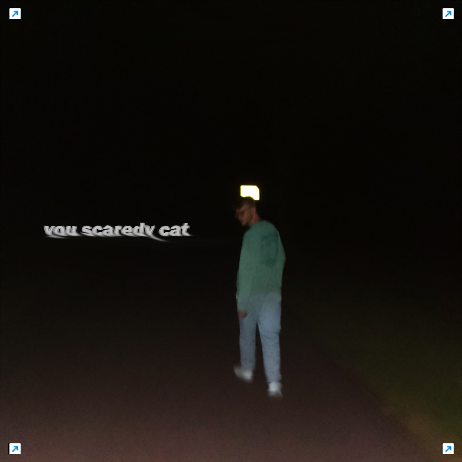Lugga - you scaredy cat - Reviews - Album of The Year