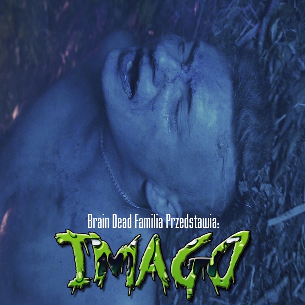 Opał - Imago - Reviews - Album of The Year