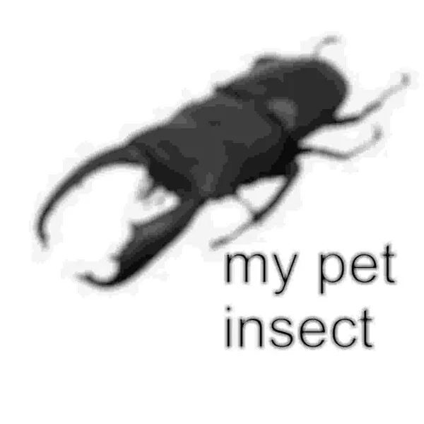 Scary Phone Call From Monster - 7. my pet insect - Reviews - Album of ...