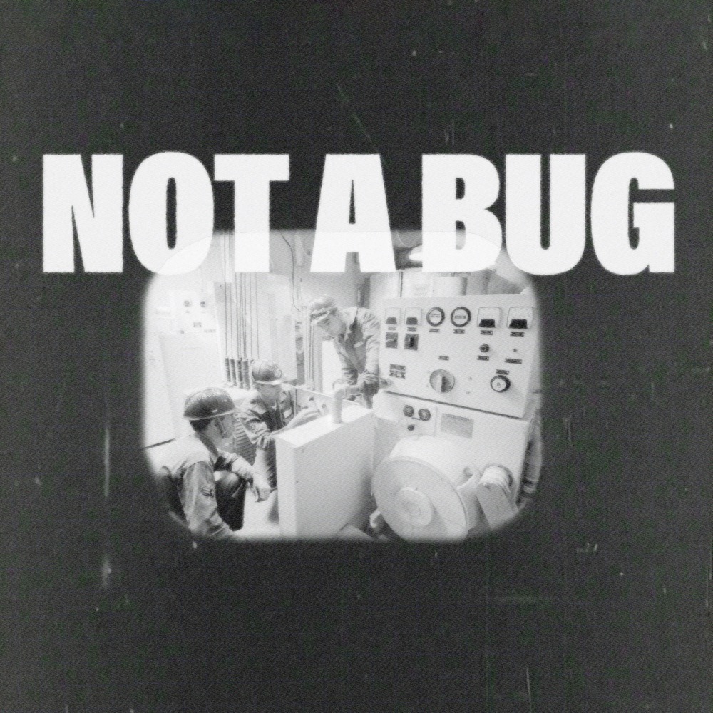 VEAUX - Not A Bug (Single) - Reviews - Album of The Year