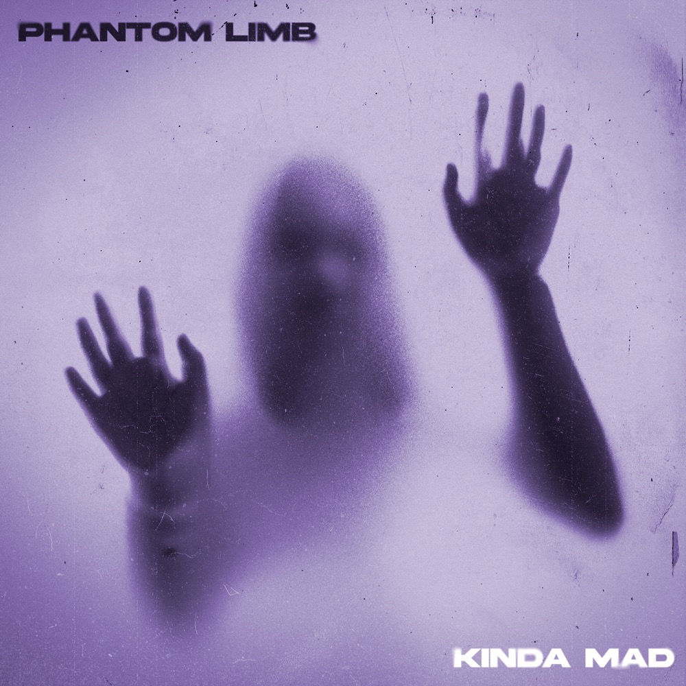 Kinda Mad - Phantom Limb (Single) - Reviews - Album of The Year