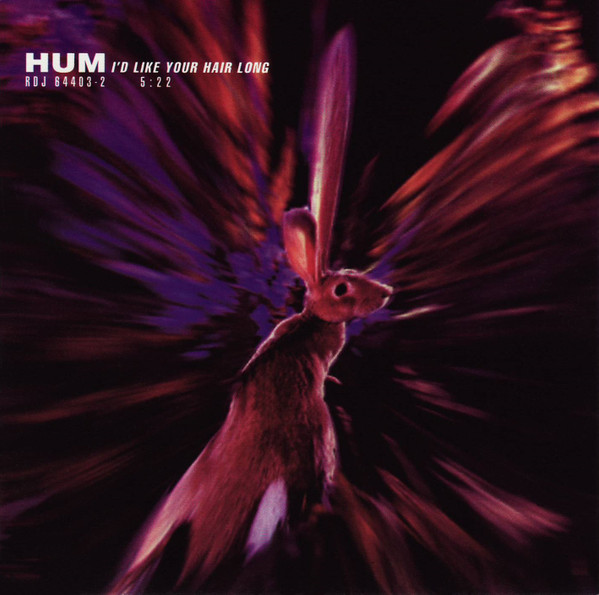 Songs Similar to I'd Like Your Hair Long by Hum