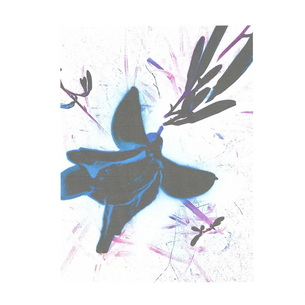 Jack Pfeffer & Mother Soki - stinkbug (Over and Over) (Single ...