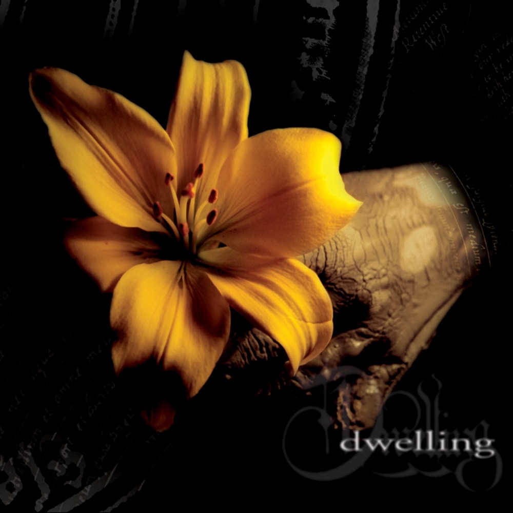 Dwelling - Humana - Reviews - Album of The Year