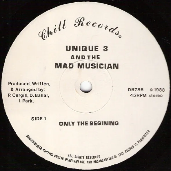Unique 3 - Only The Begining / The Theme - Reviews - Album of The Year