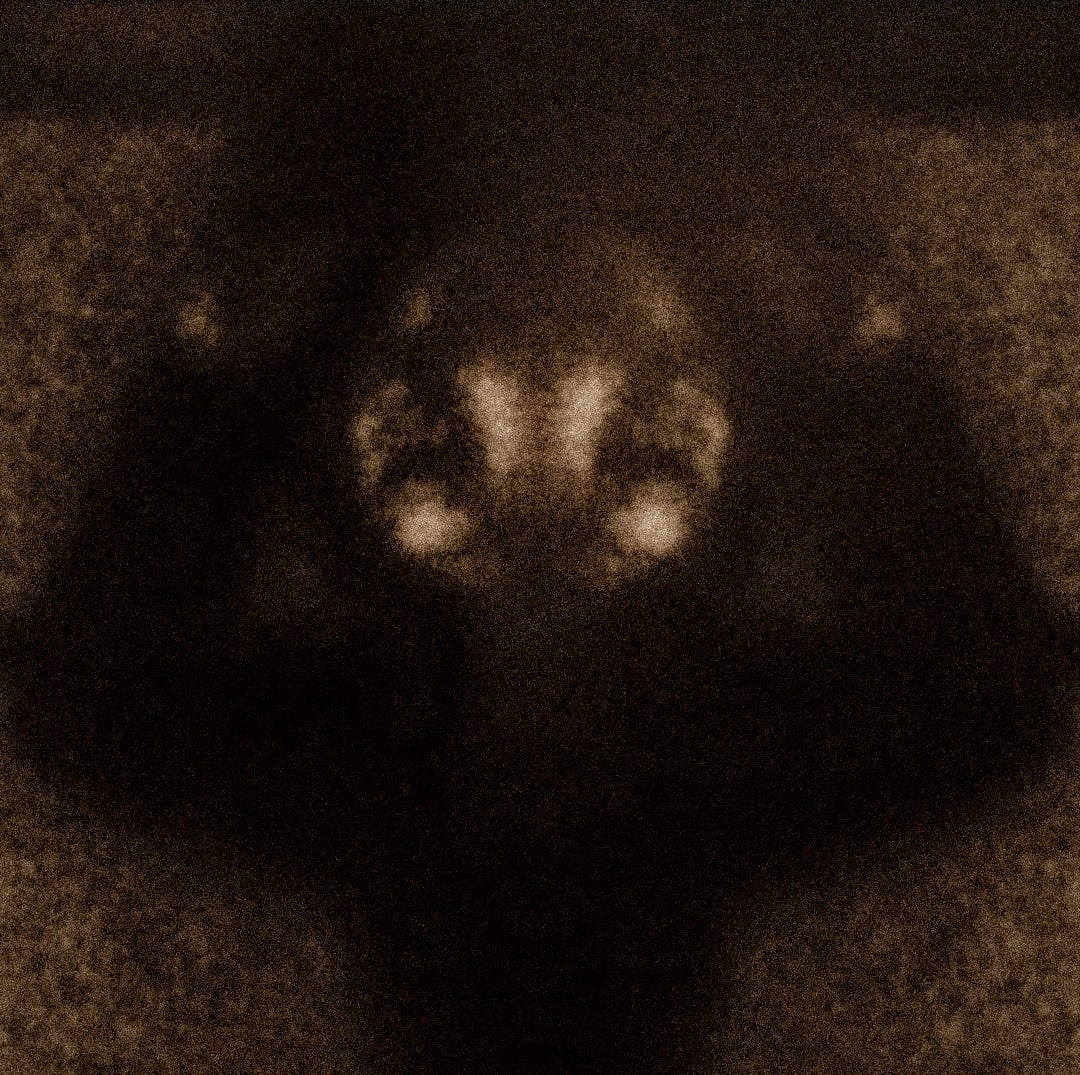 Farsin Khronos - Colostrum of the Carrion Mother (Single) - Reviews ...