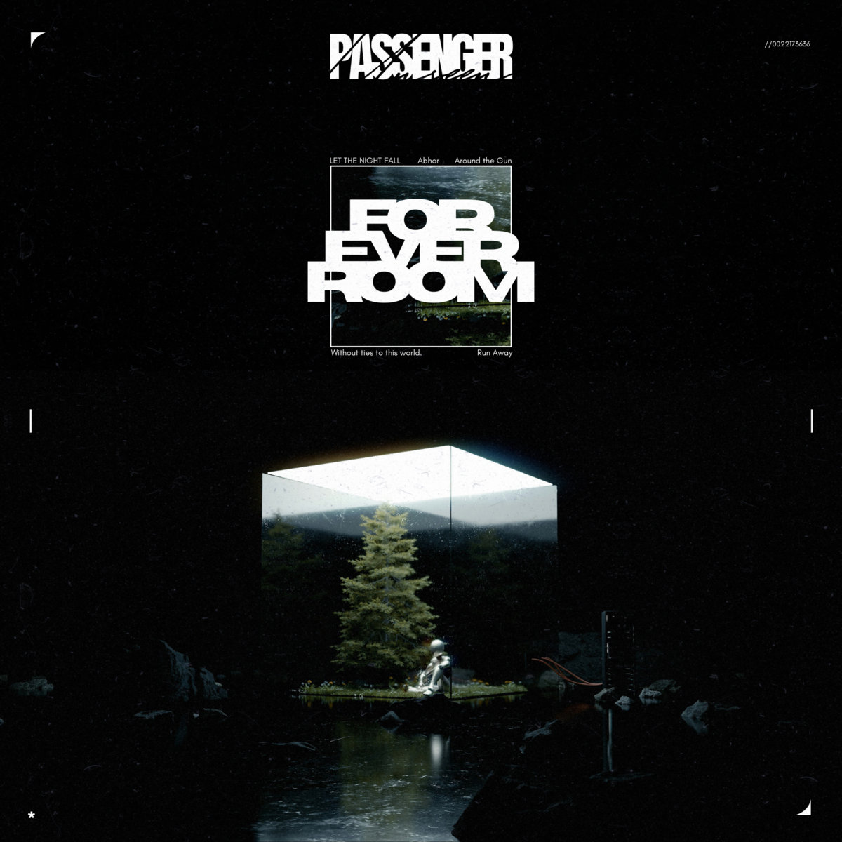 Passenger Unseen - Forever Room - Reviews - Album of The Year