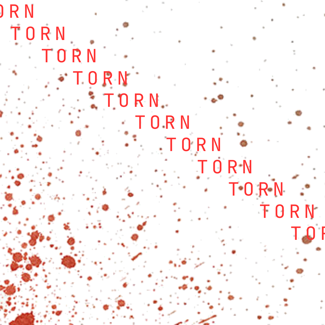 Shxnn - TORN - Reviews - Album of The Year