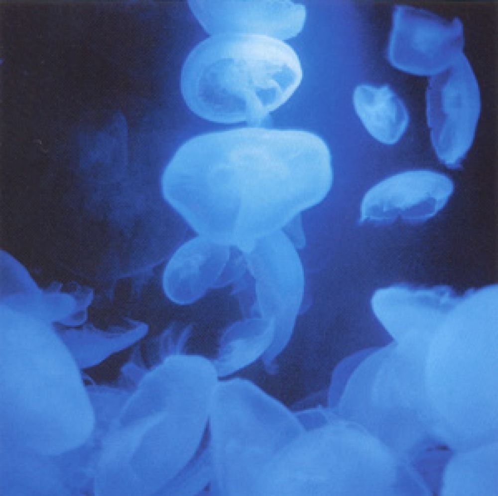 Himekami - 千年回廊 [Sennen Kairou] - Reviews - Album of The Year