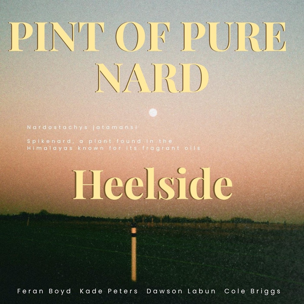 Heelside - Pint of Pure Nard - Reviews - Album of The Year