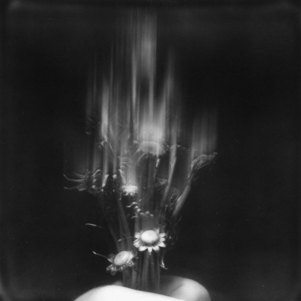 Glass Age - metamorphosis (Single) - Reviews - Album of The Year