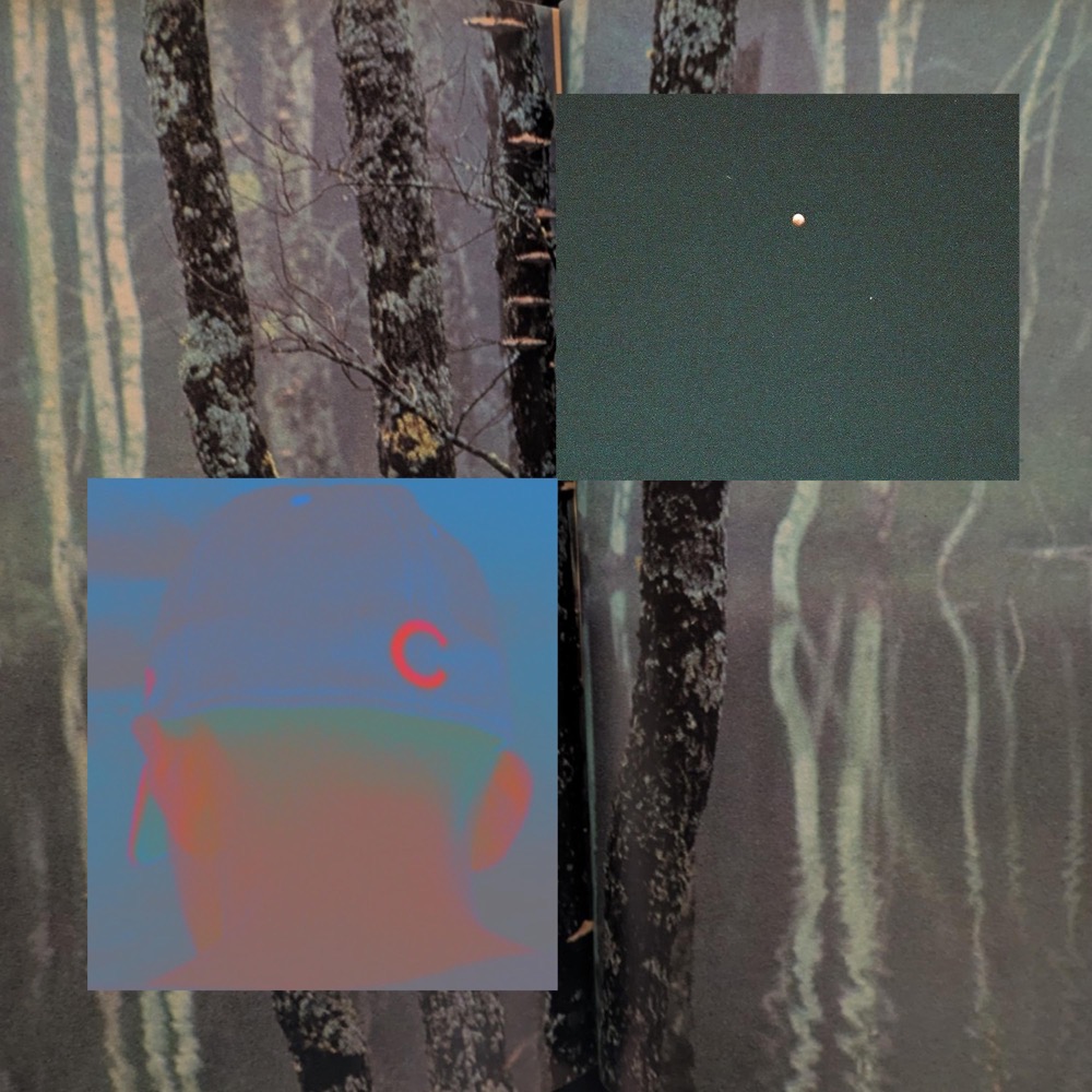 ILL-Sugi - SWAMPTIME - Reviews - Album of The Year