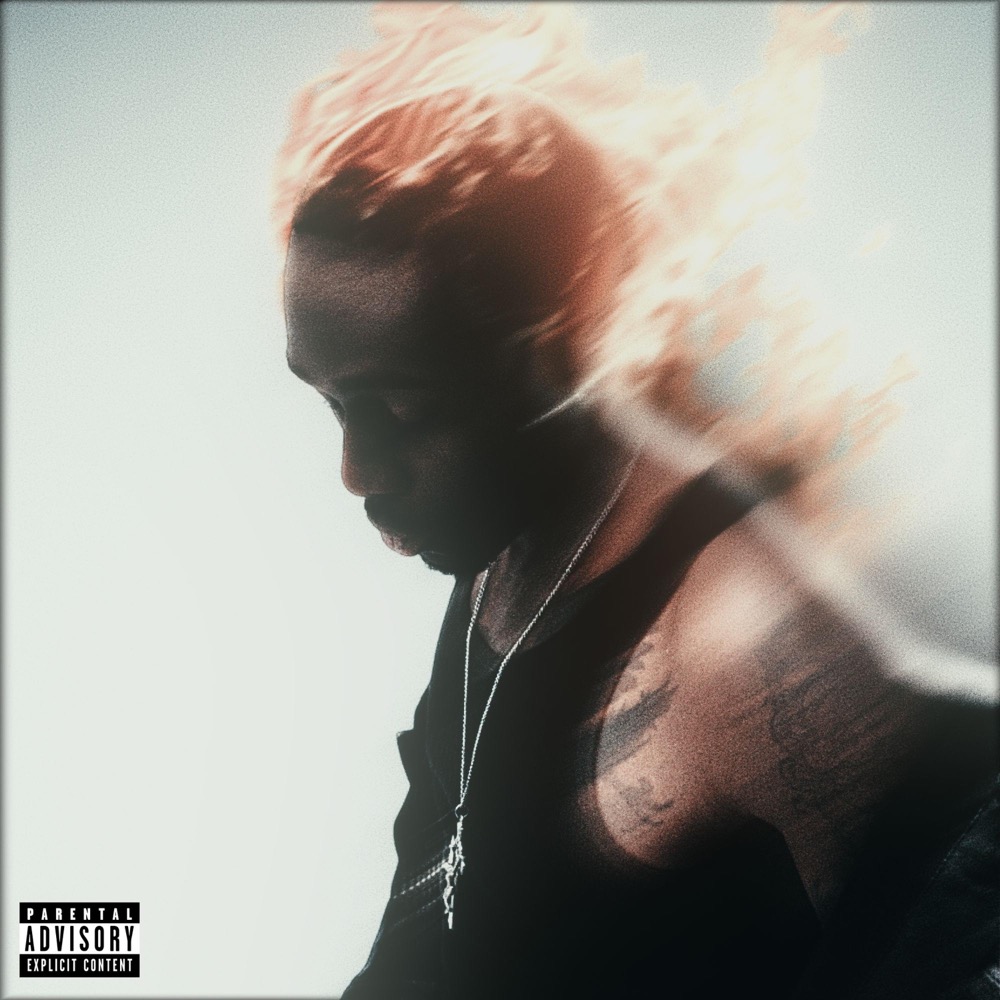 Melly Mike - Real Threat (Rock Remix) - Reviews - Album of The Year