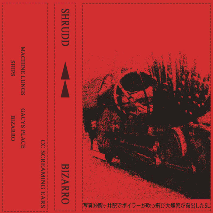 Shrudd - Bizarro - Reviews - Album of The Year