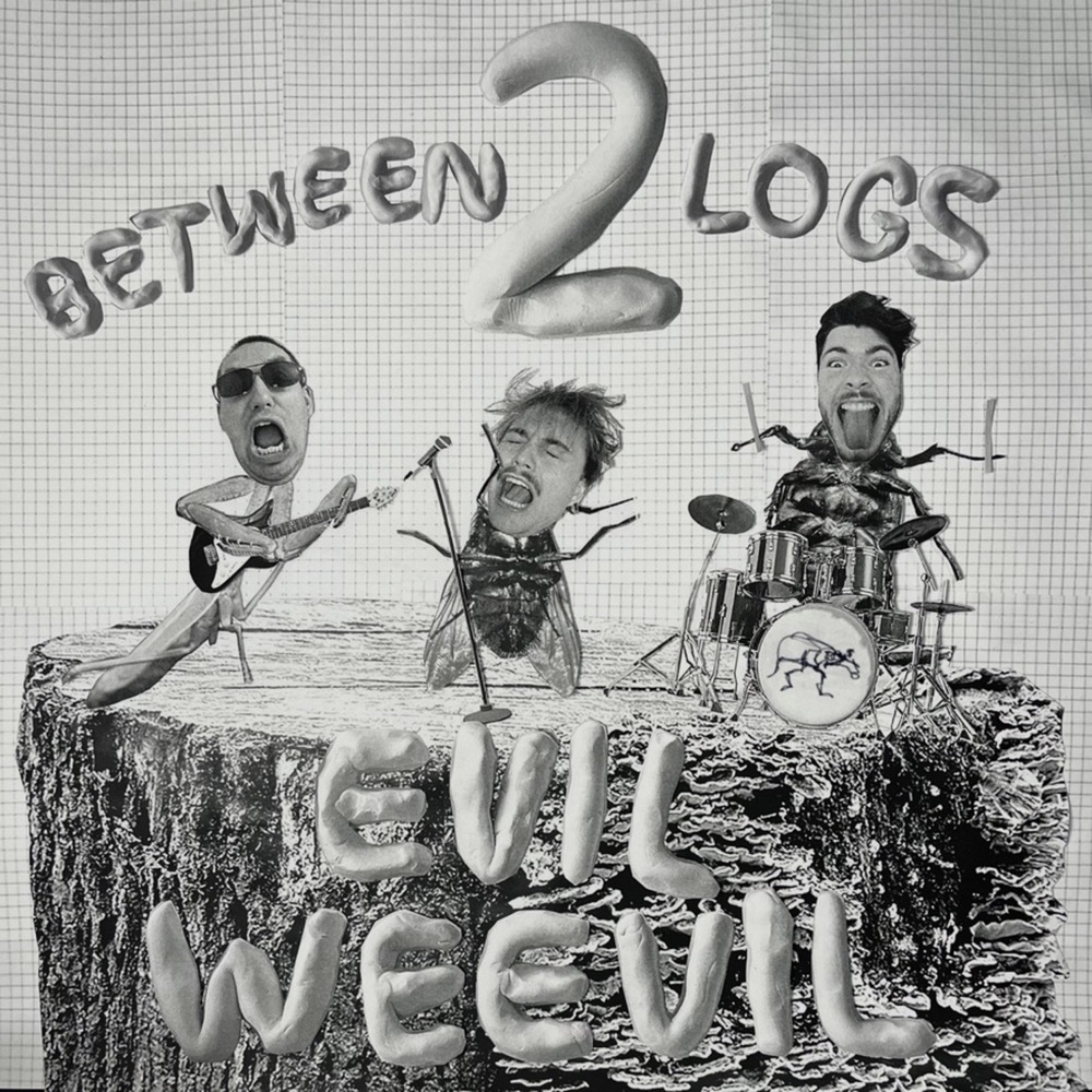 Evil Weevil - Between 2 Logs - Reviews - Album of The Year