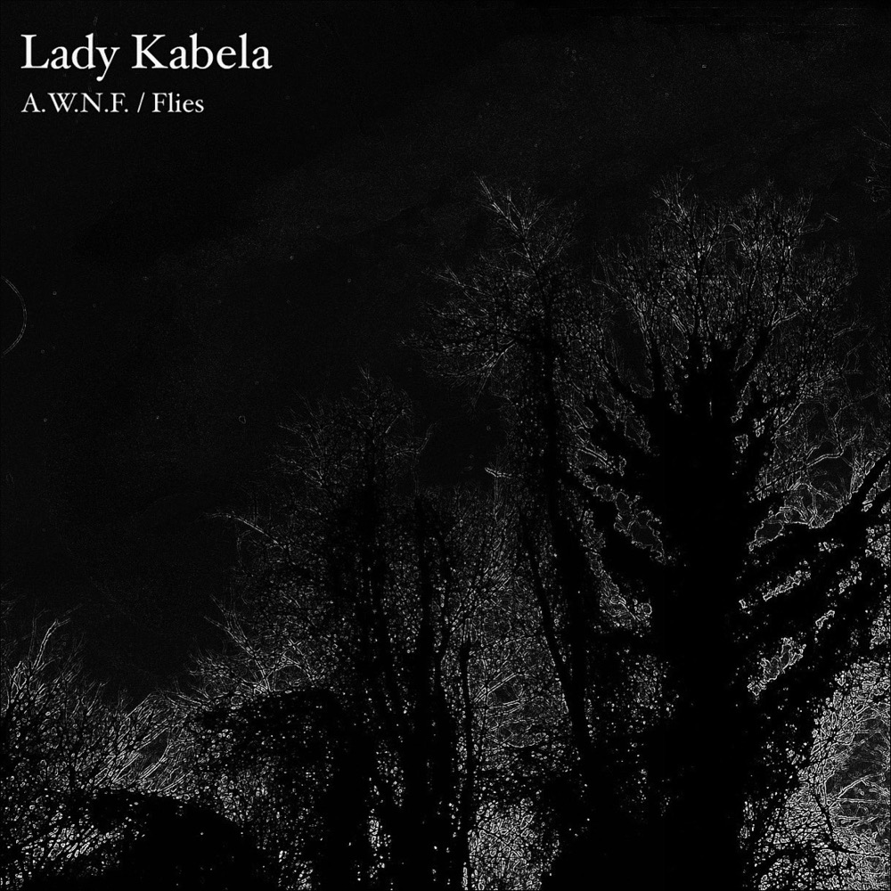 Lady Kabela - A.W.N.F. / Flies - Reviews - Album of The Year