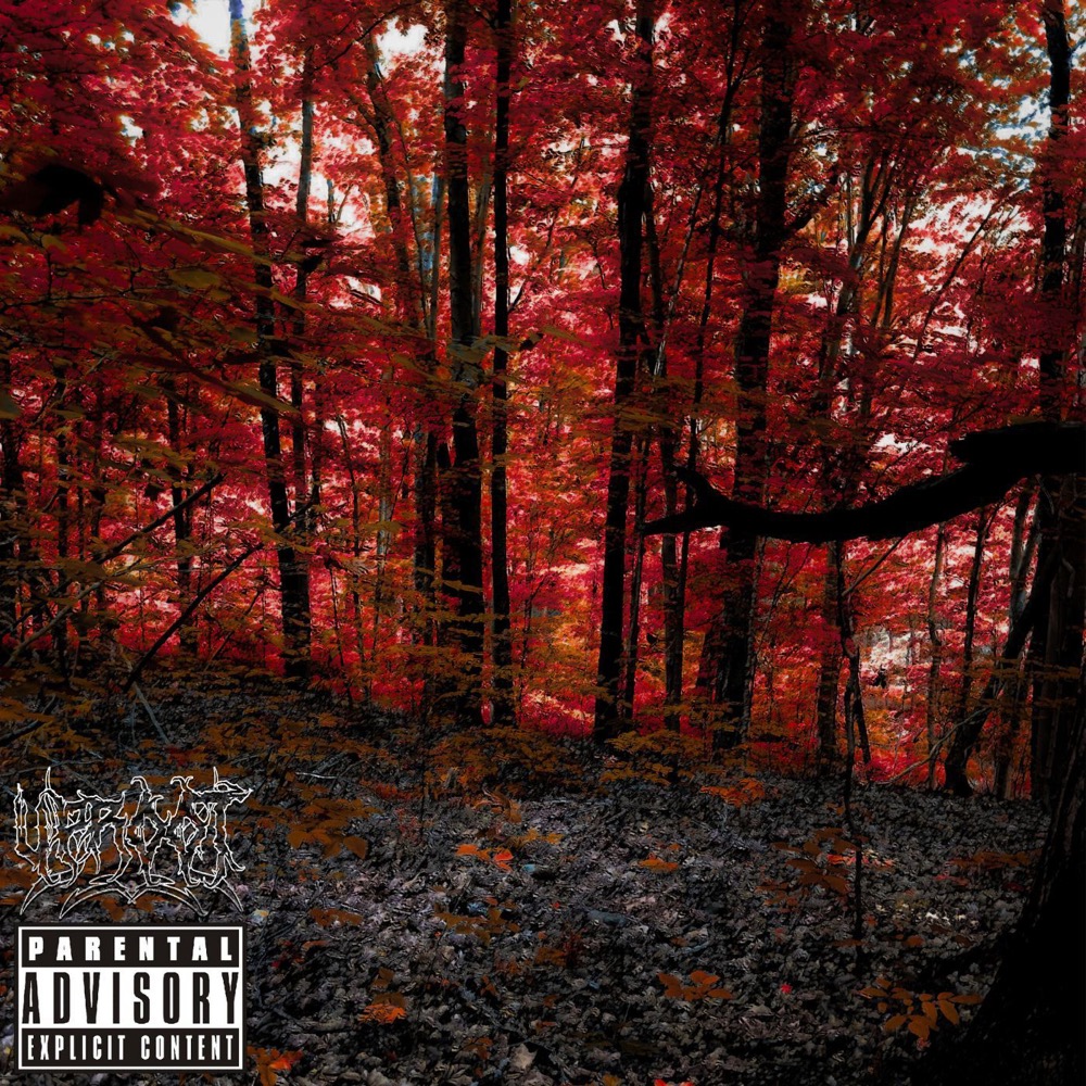UPROOT - This Ruthless World - Reviews - Album of The Year