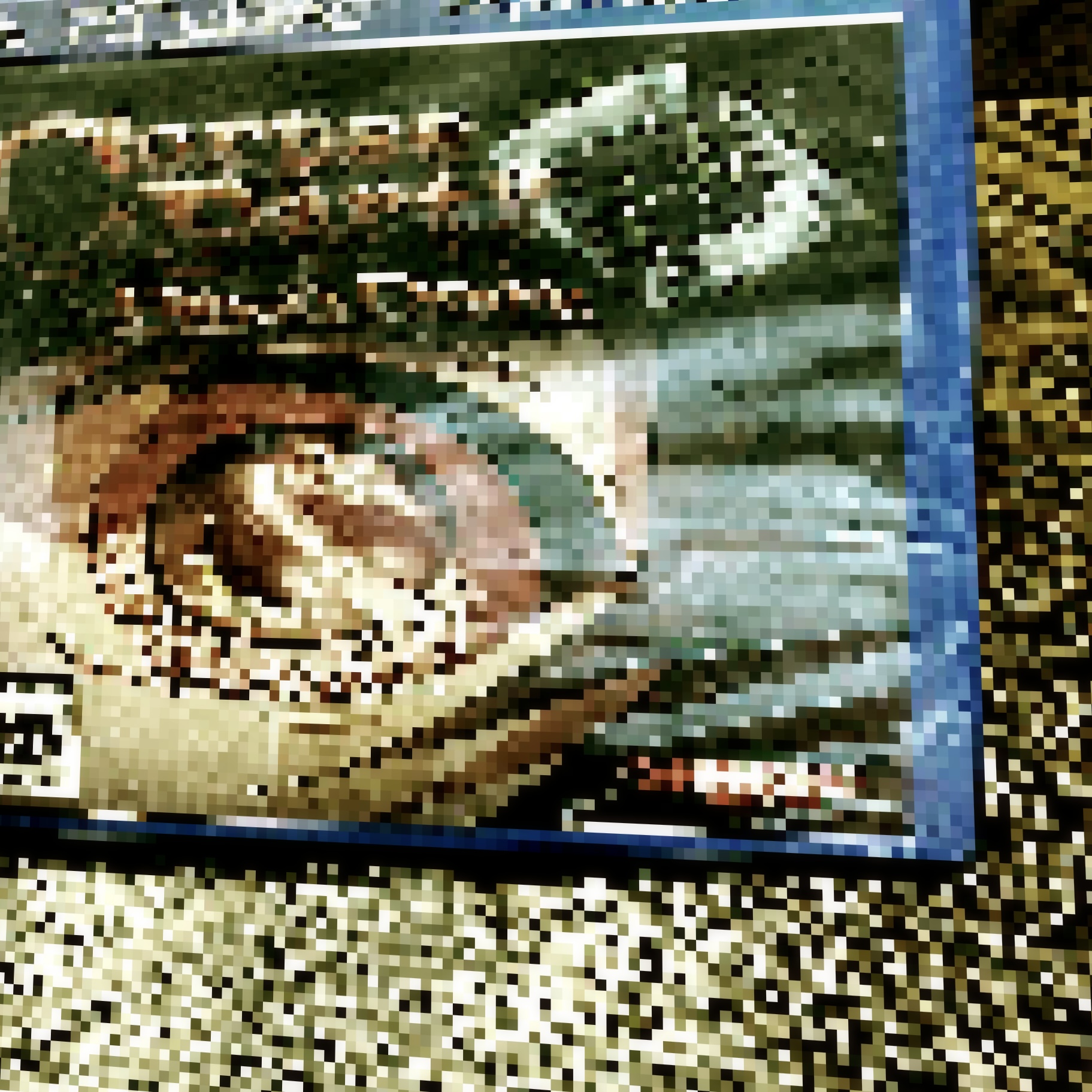 ##femcel - corpse party++ - User Reviews - Album of The Year