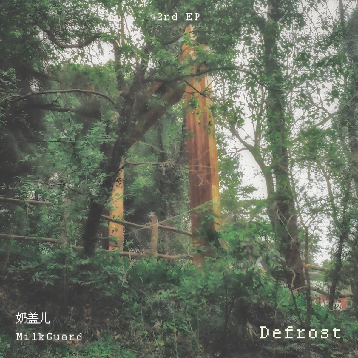 奶盖儿 MilkGuard - Defrost - Reviews - Album of The Year