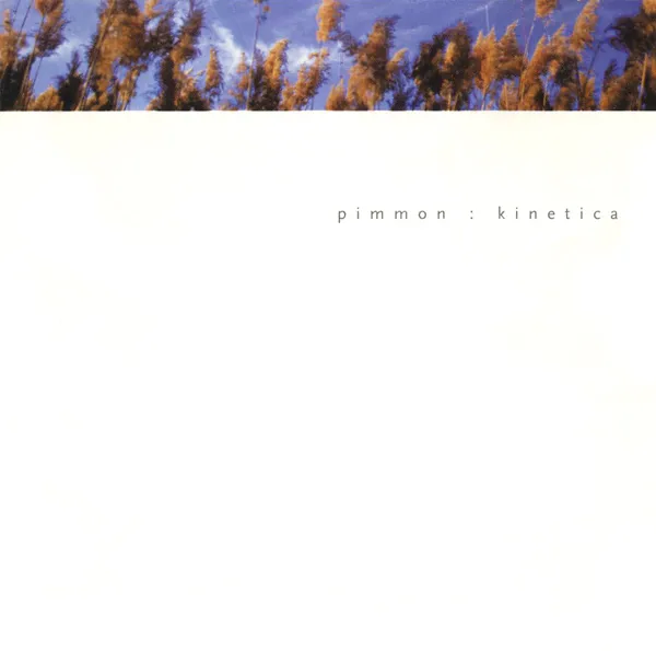 Pimmon - Kinetica - Reviews - Album of The Year