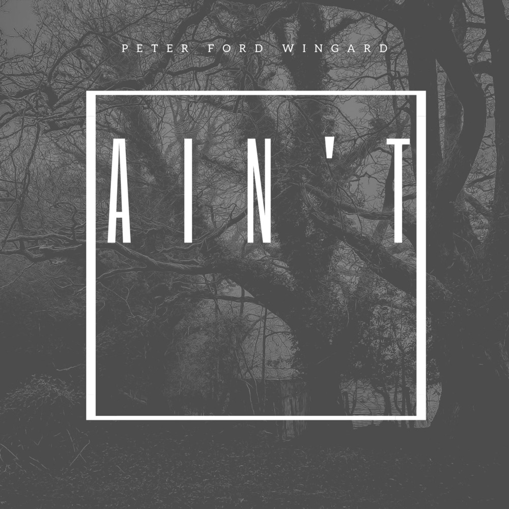 Peter Ford Wingard - Ain't - Reviews - Album of The Year