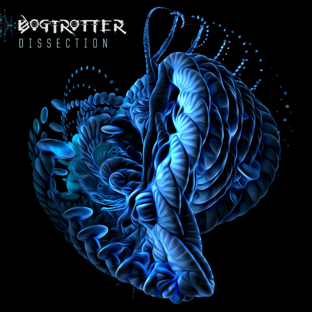 BogTroTTer - Dissection (EP) - Reviews - Album of The Year