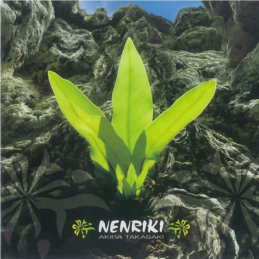 Akira Takasaki - Nenriki - Reviews - Album of The Year