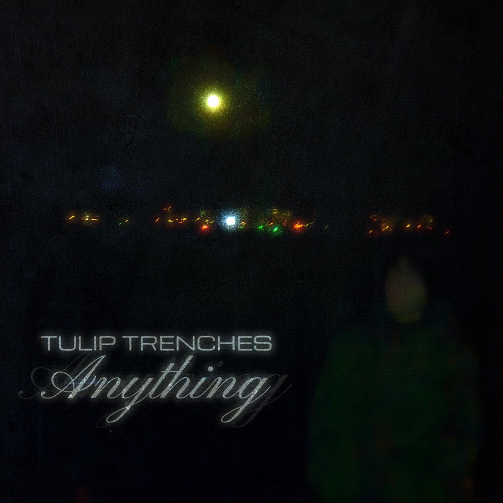 Tulip Trenches - Anything - Reviews - Album of The Year