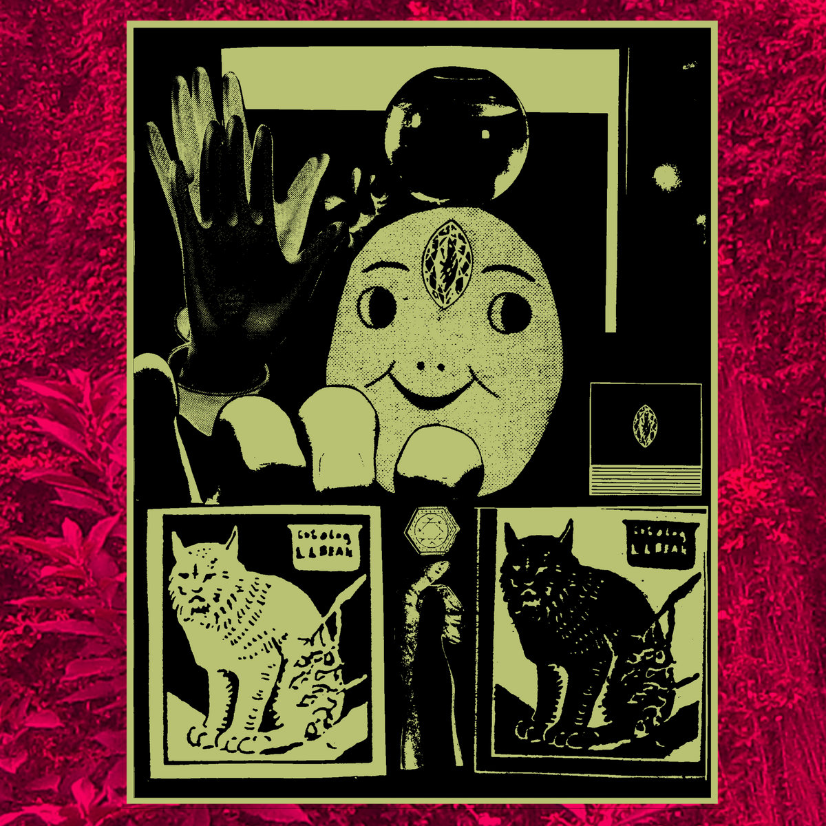 Stuart Chalmers & Territorial Gobbing - Grow More Fingers - Reviews ...