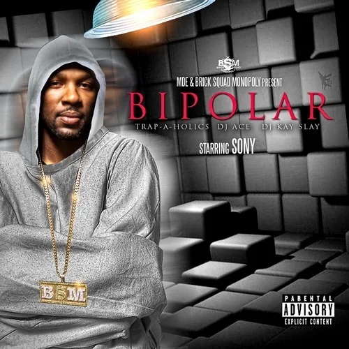 Sony BSM - Bipolar (Mixtape) - Reviews - Album of The Year