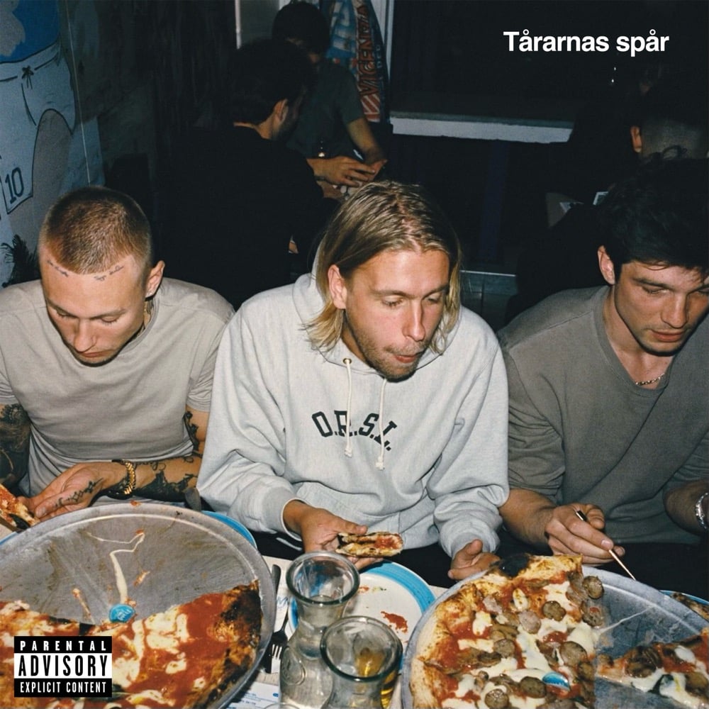 Hov1 - Tårarnas Spår - Reviews - Album of The Year