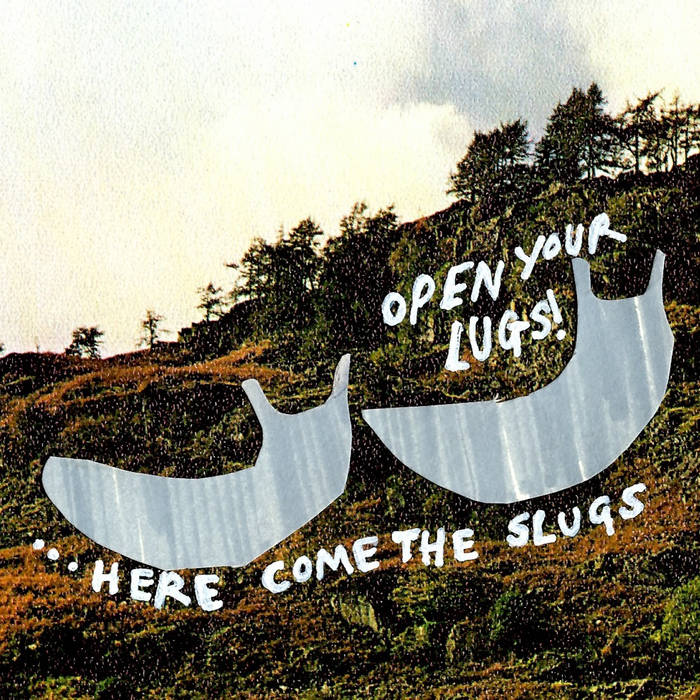 The Slugs - Open Your Lugs! Here Comes The Slugs! - Reviews - Album of ...