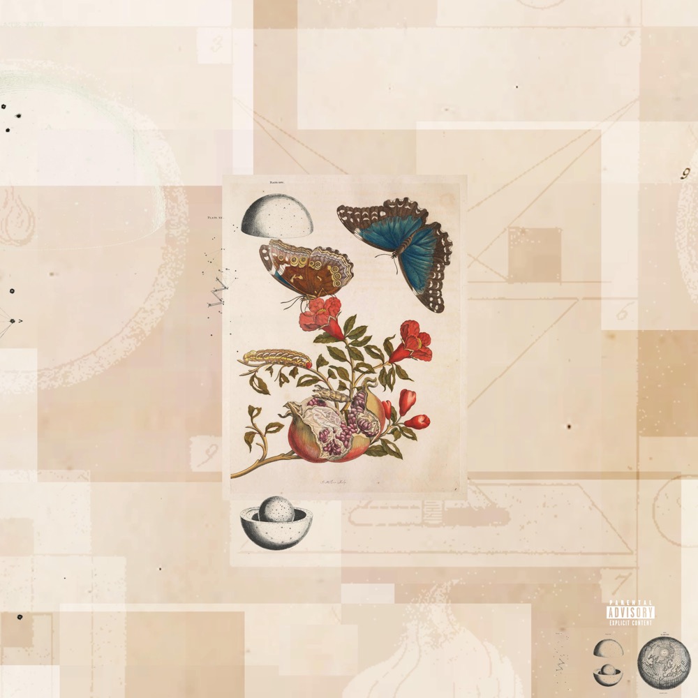 Dom McLennon & ROLAND JONES - proof of life (Single) - Reviews - Album ...